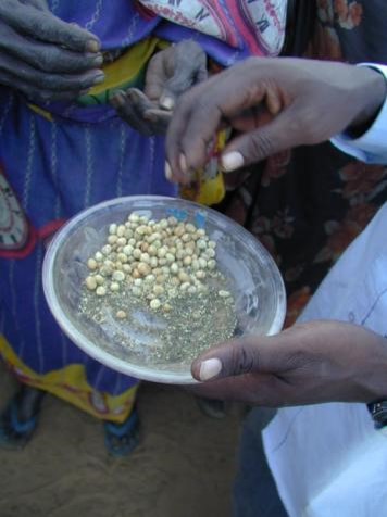 Famine Relief at Last: Emergency Food Reaches Villages - Kids for Kids